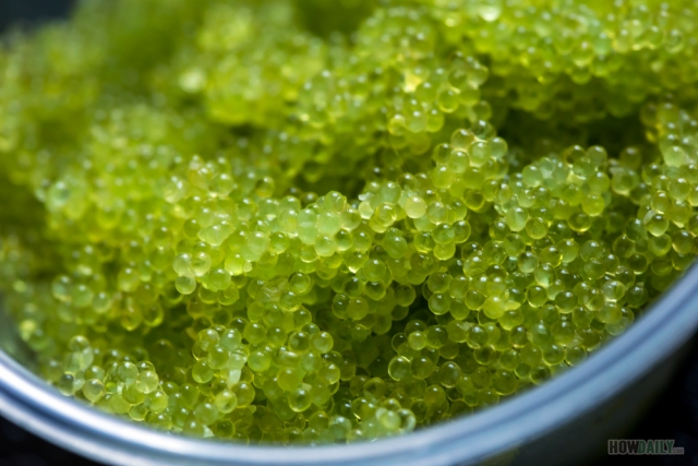Masago - Tobiko: Different types of popular roes used in Japanese cuisine